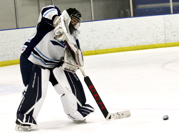 Steelers high school hockey teams ready for playoff action | News ...